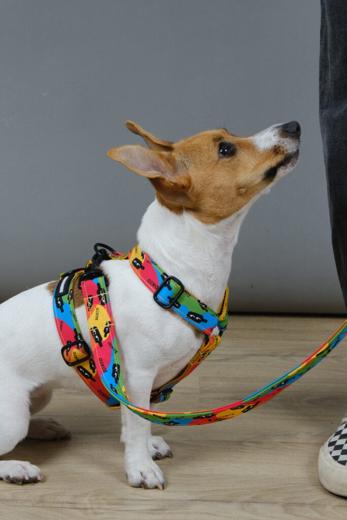 OENOVATED x WILD BARKS dog harness – OENOVATED